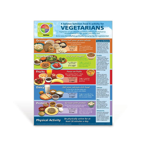 Vegetarian MyPlate Poster | Nutrition Education | Visualz